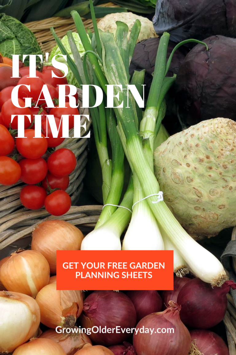It’s Garden Time! - Growing Older Everyday