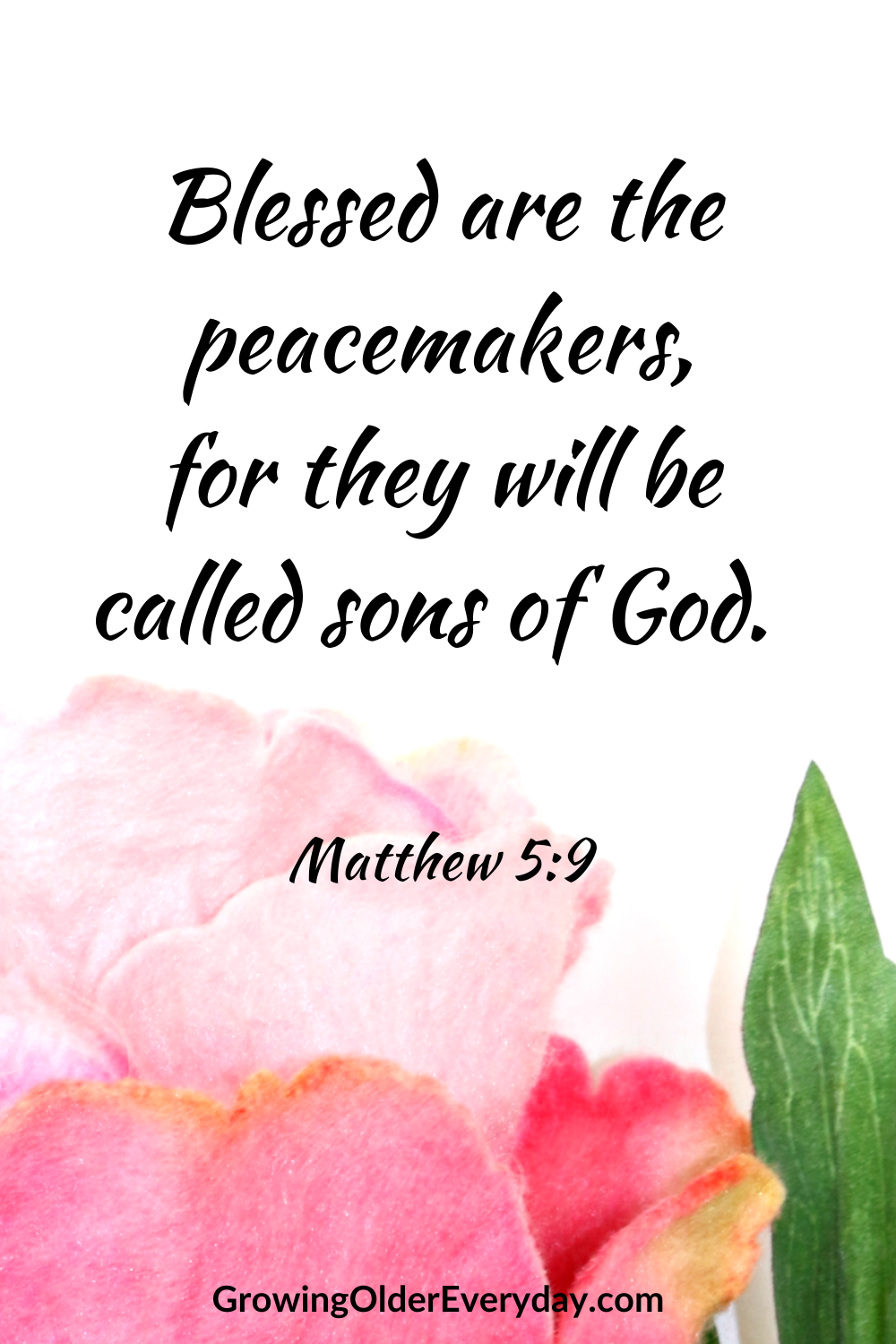 Blessed are the Peacemakers - Growing Older Everyday